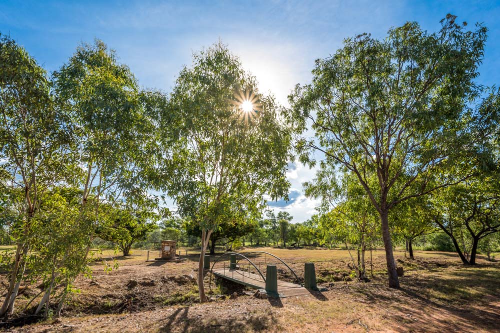 Croydon Goldfield Image Gallery | Visit Croydon